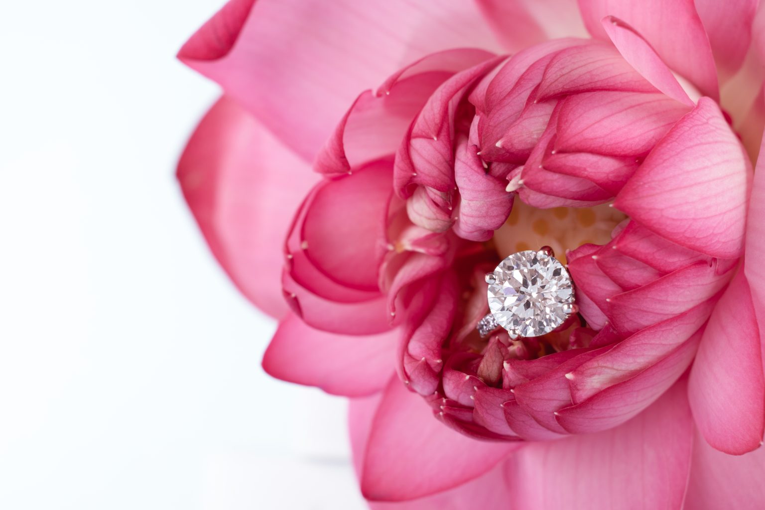 5 Ways Padma Cut Diamonds Are Unique And Different From Others | Jewelbox